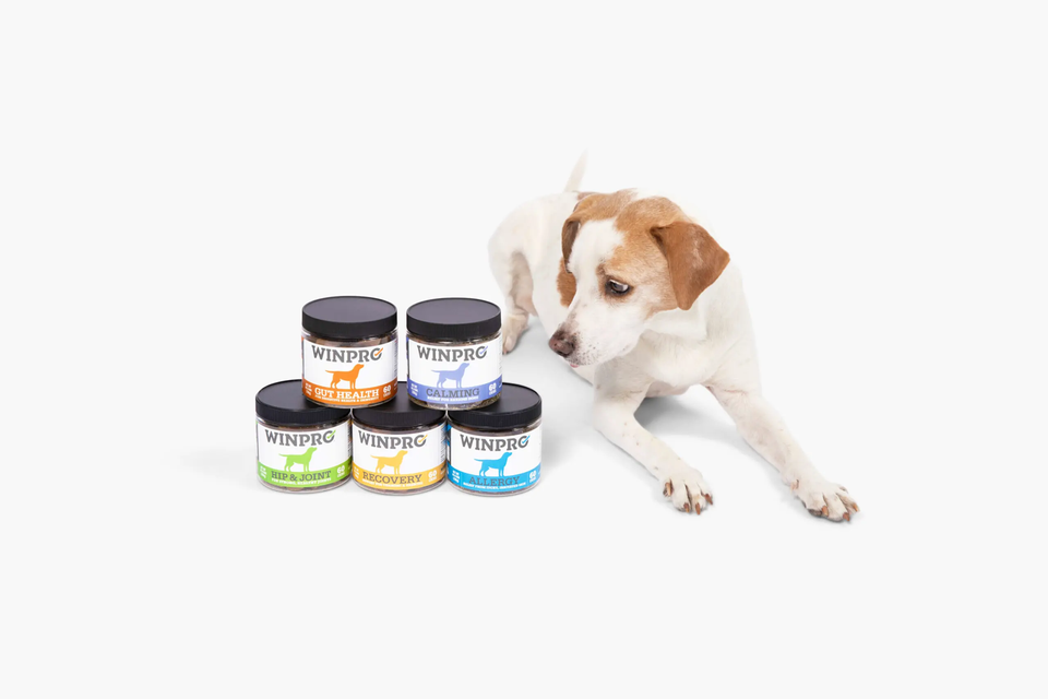 Junip - Blog | Reviews For Products Worth Talking About